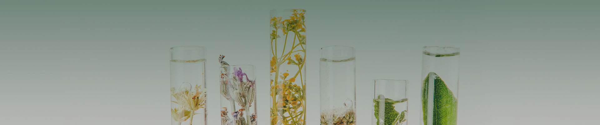 Productos - Conoce nuestros productos ecológicos para ti